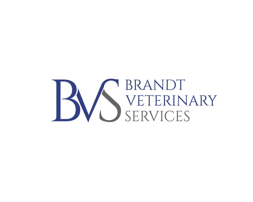 Serious, Professional Logo Design for Brandt Veterinary Services - BVS ...