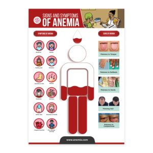 Signs and Symptoms of anemia - poster or flyer | 24 Flyer Designs for a ...