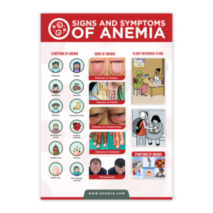 Signs and Symptoms of anemia - poster or flyer | 24 Flyer Designs for a ...