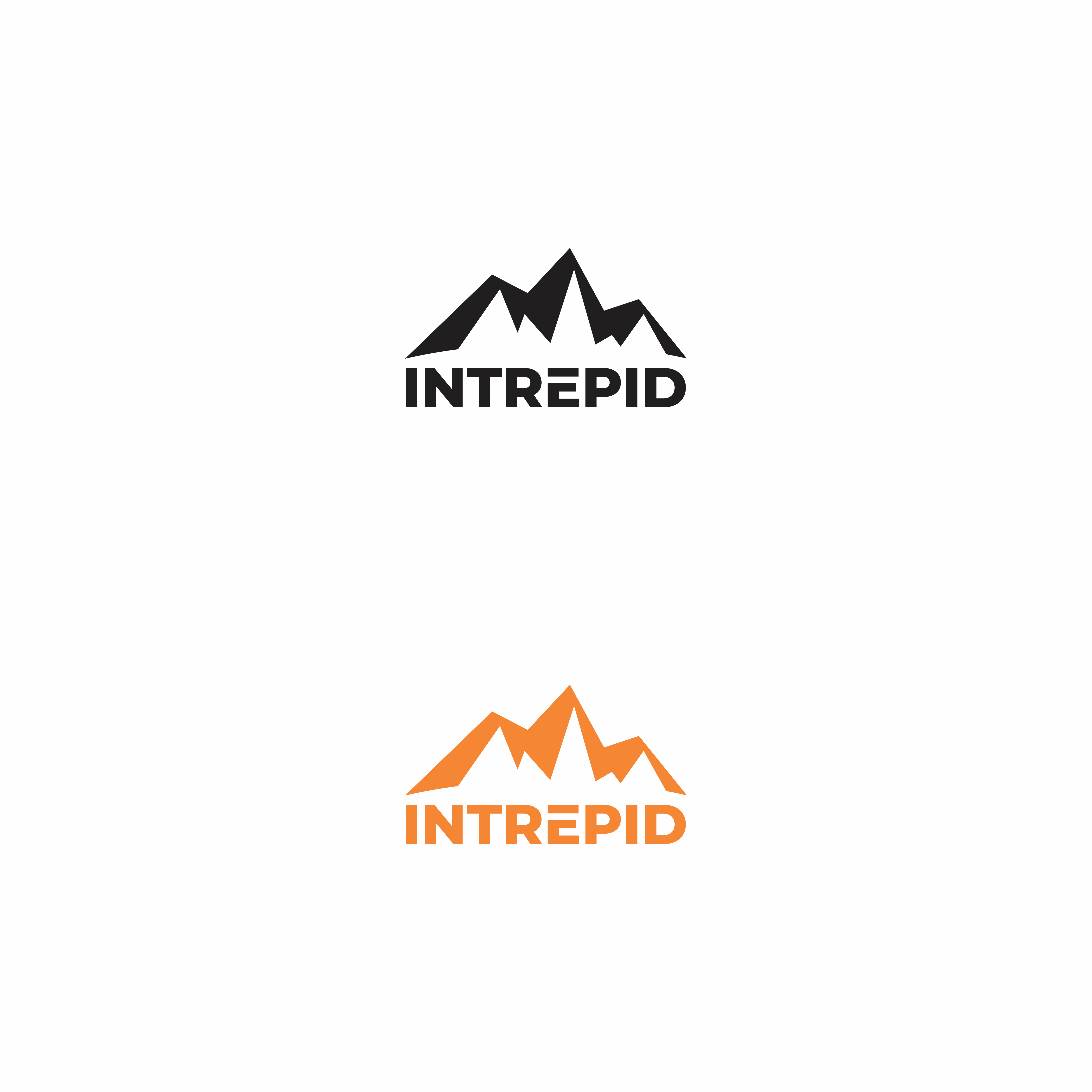 Bold, Conservative, Retail, Bags Logo Design for INTREPID by amrino ...