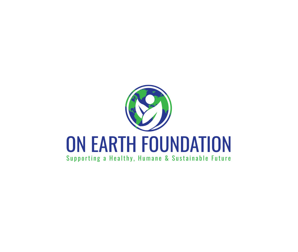 Colorful, Modern Logo Design for On Earth Foundation Supporting a ...