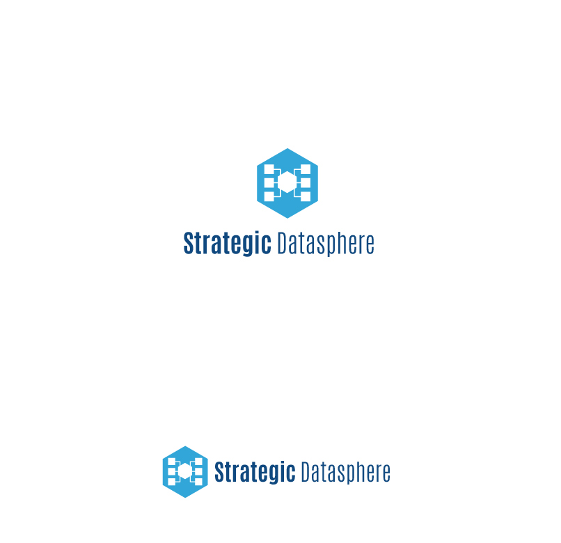 Elegant, Playful Logo Design for Strategic Datasphere by instudio ...