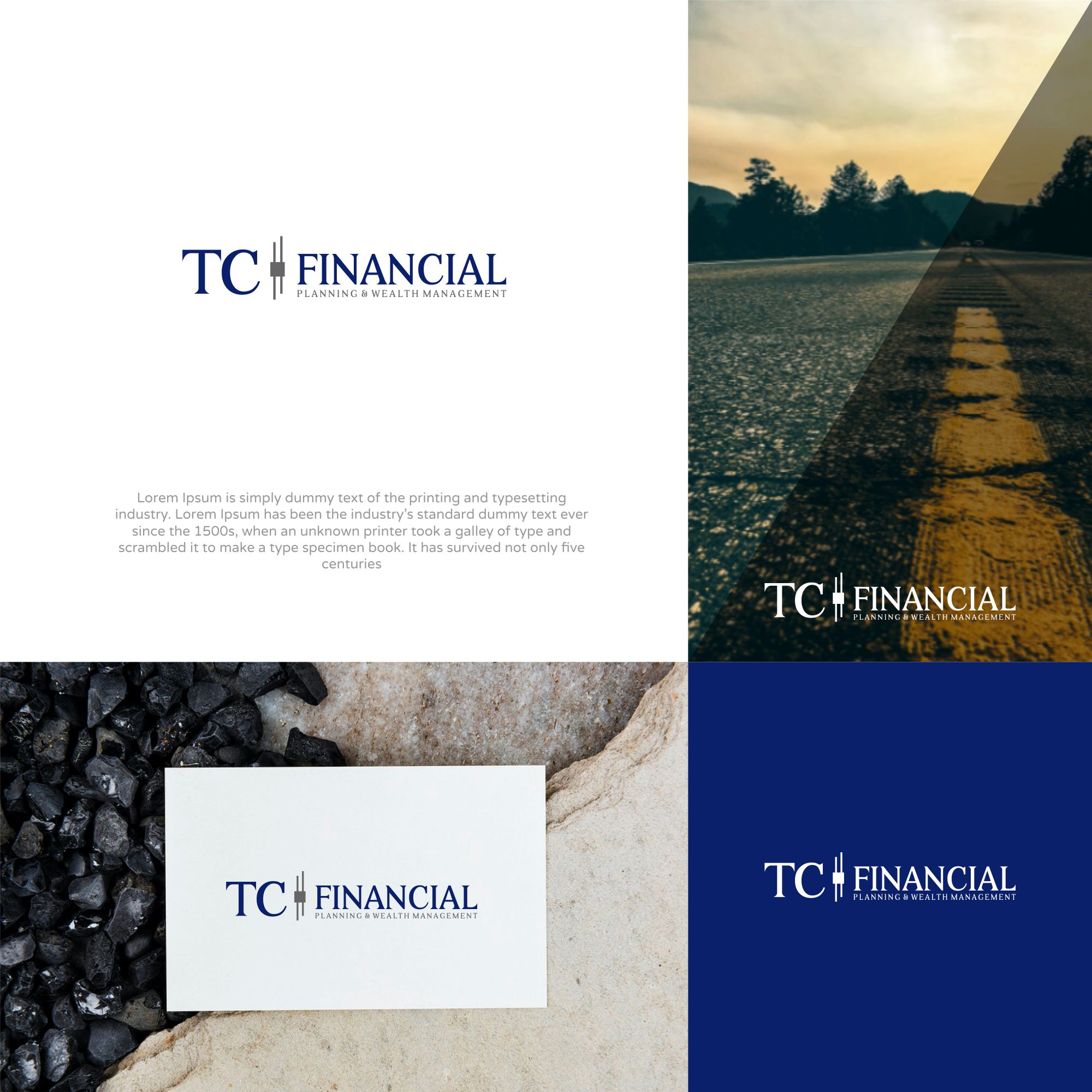 Serious, Professional, Financial Services Logo Design for TC Financial ...