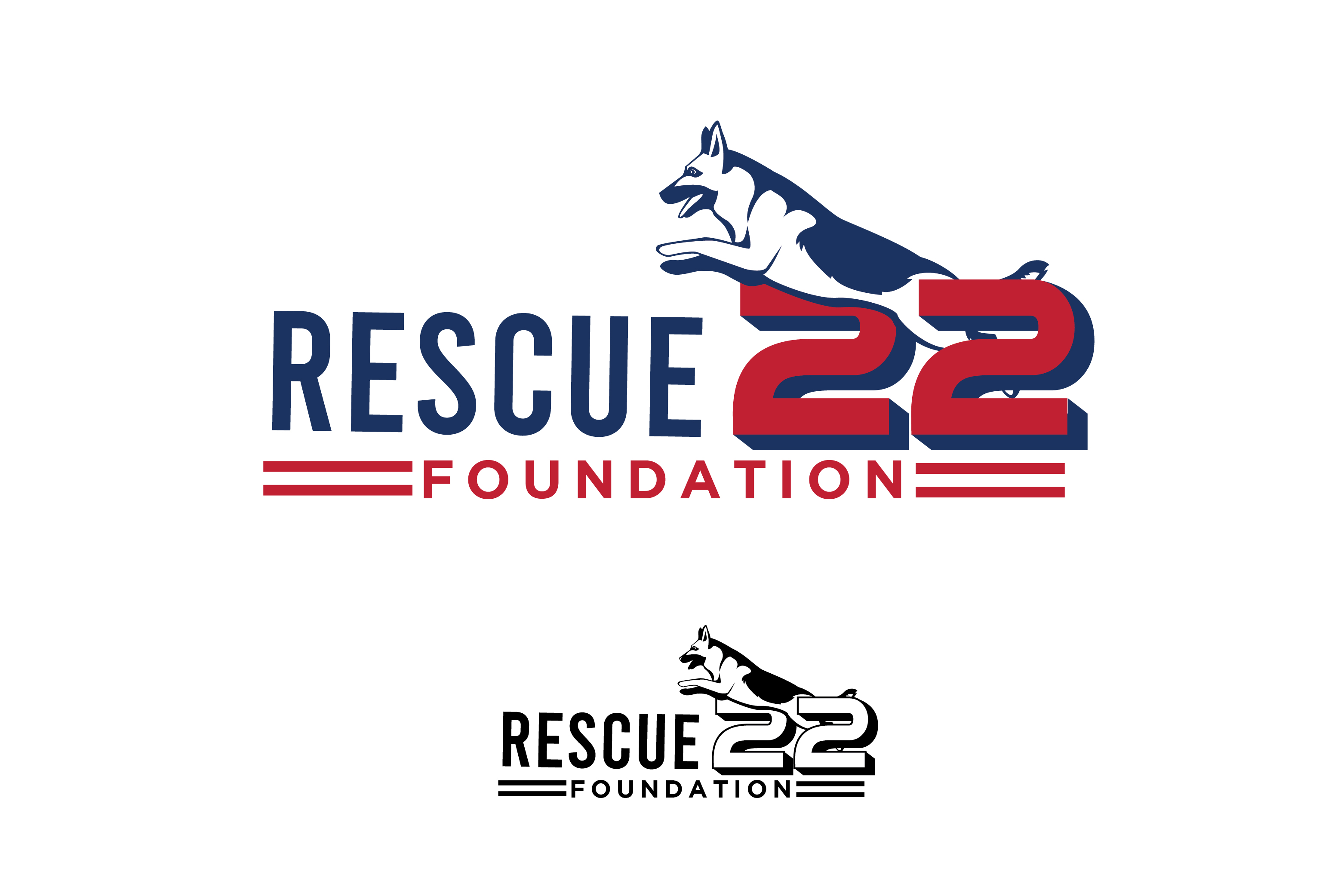 Modern, Bold, Not-for-Profit Organization Logo Design for Rescue 22 ...