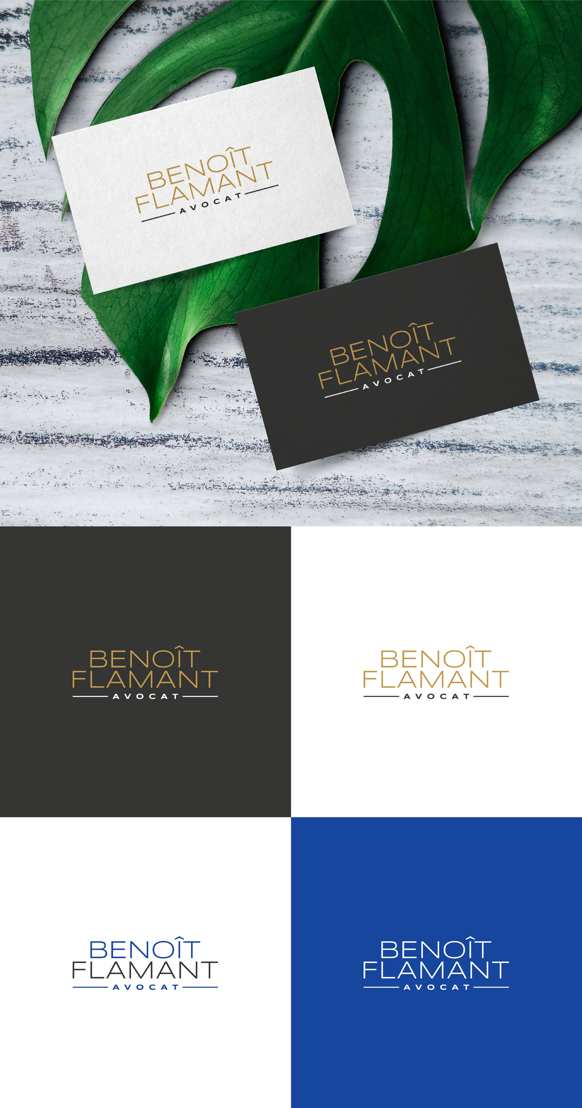 Elegant, Serious, Law firm, public law Logo Design for Benoît FLAMANT Avocat by tavi | Design ...