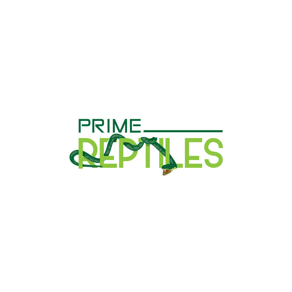 Serious, Modern, Reptile Logo Design for Prime Reptiles by Kreative ...