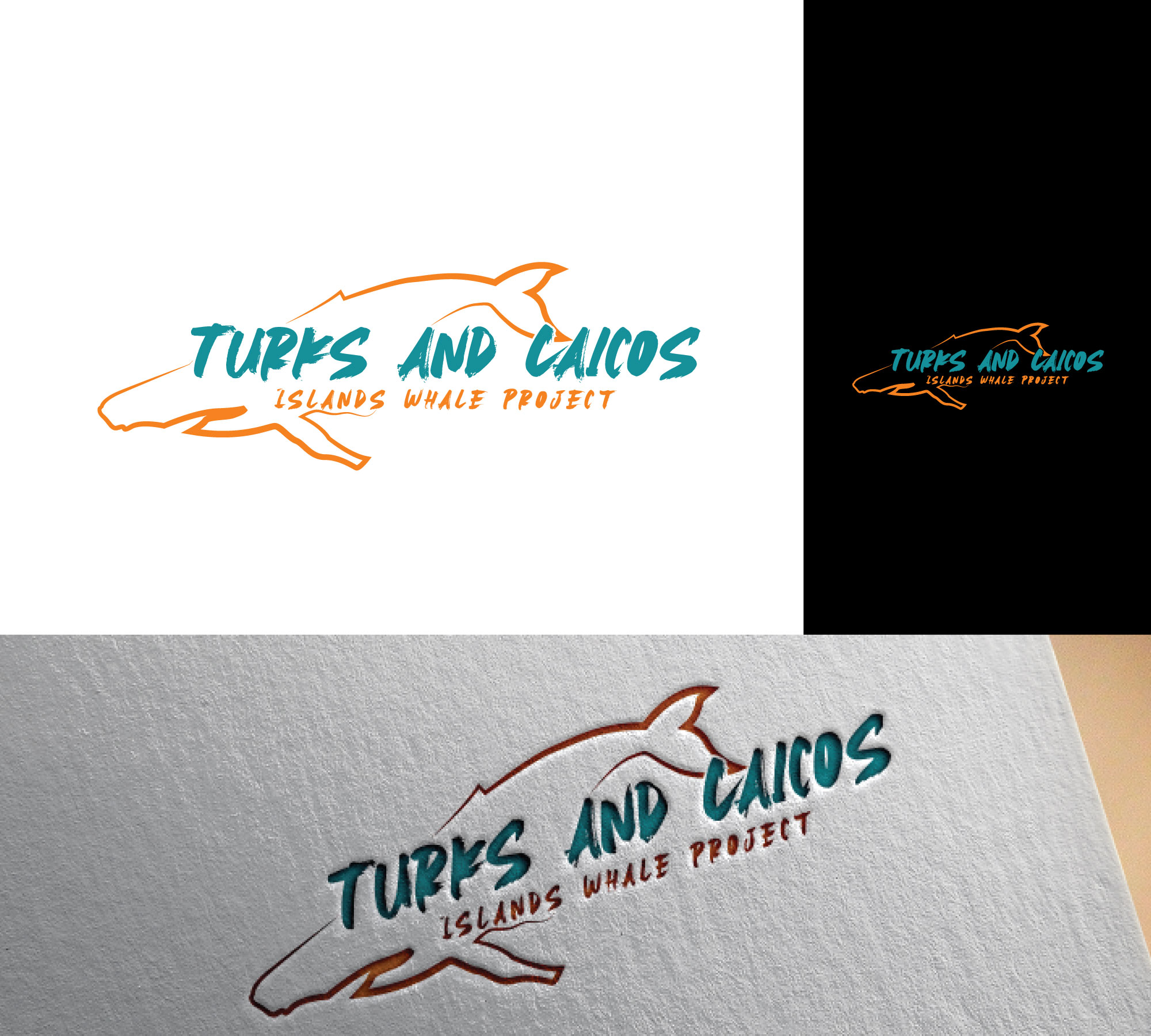 Logo Design for Turks and Caicos Islands Whale Project by RRR Design ...