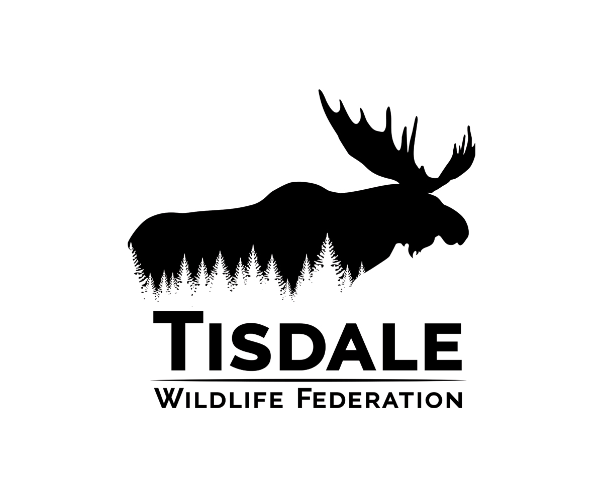 Bold, Serious, Non profit wildlife Logo Design for Tisdale Wildlife ...