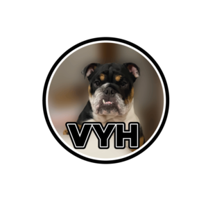 VYH | 21 Logo Designs for VYH