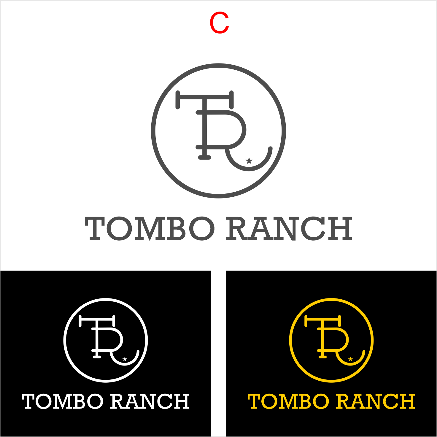Elegant, Playful, Ranching, farming, hunting Logo Design for Tombo ...