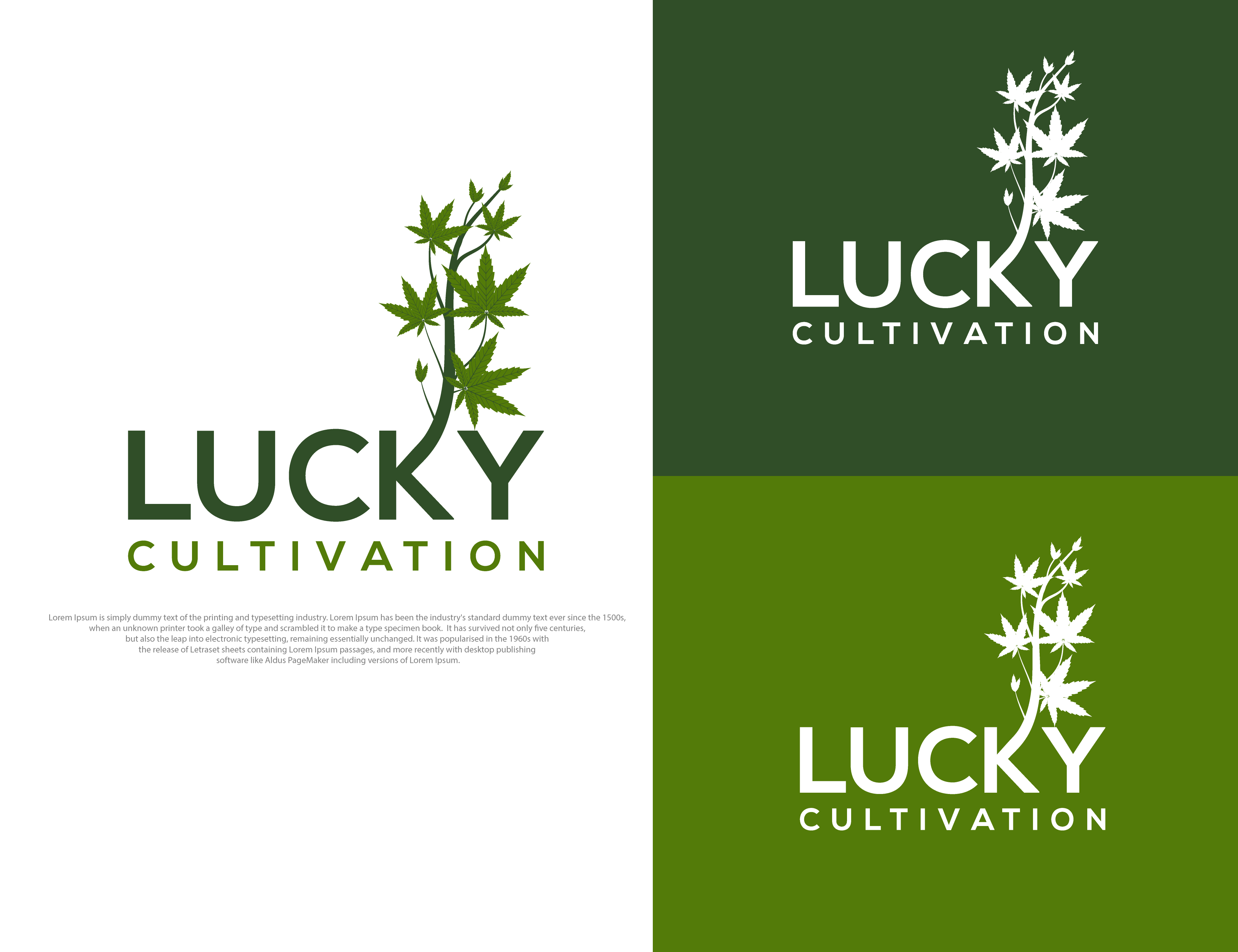 Masculine, Upmarket, fast growing recreational and medical marijuana ...