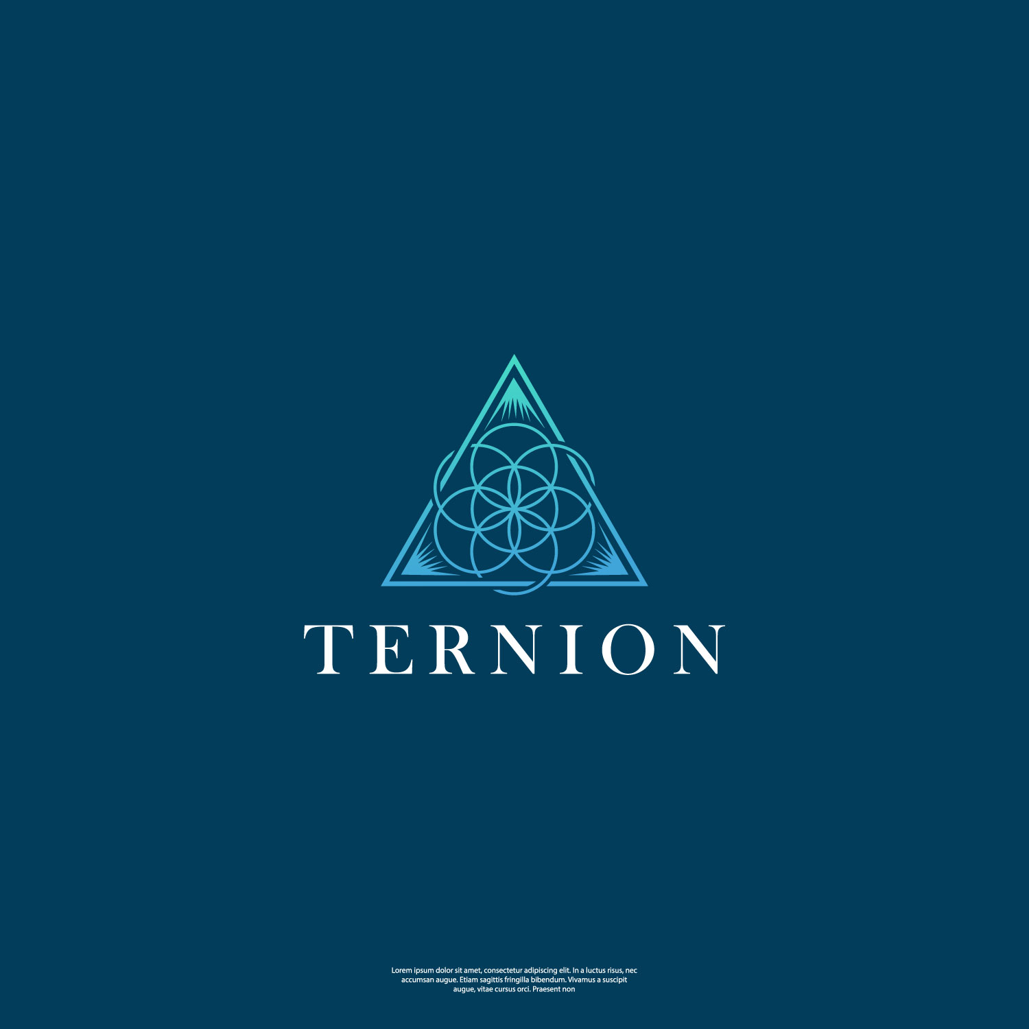 Logo Design for Either "Ternion" or "Ternion Coaching" by Clean Designs ...