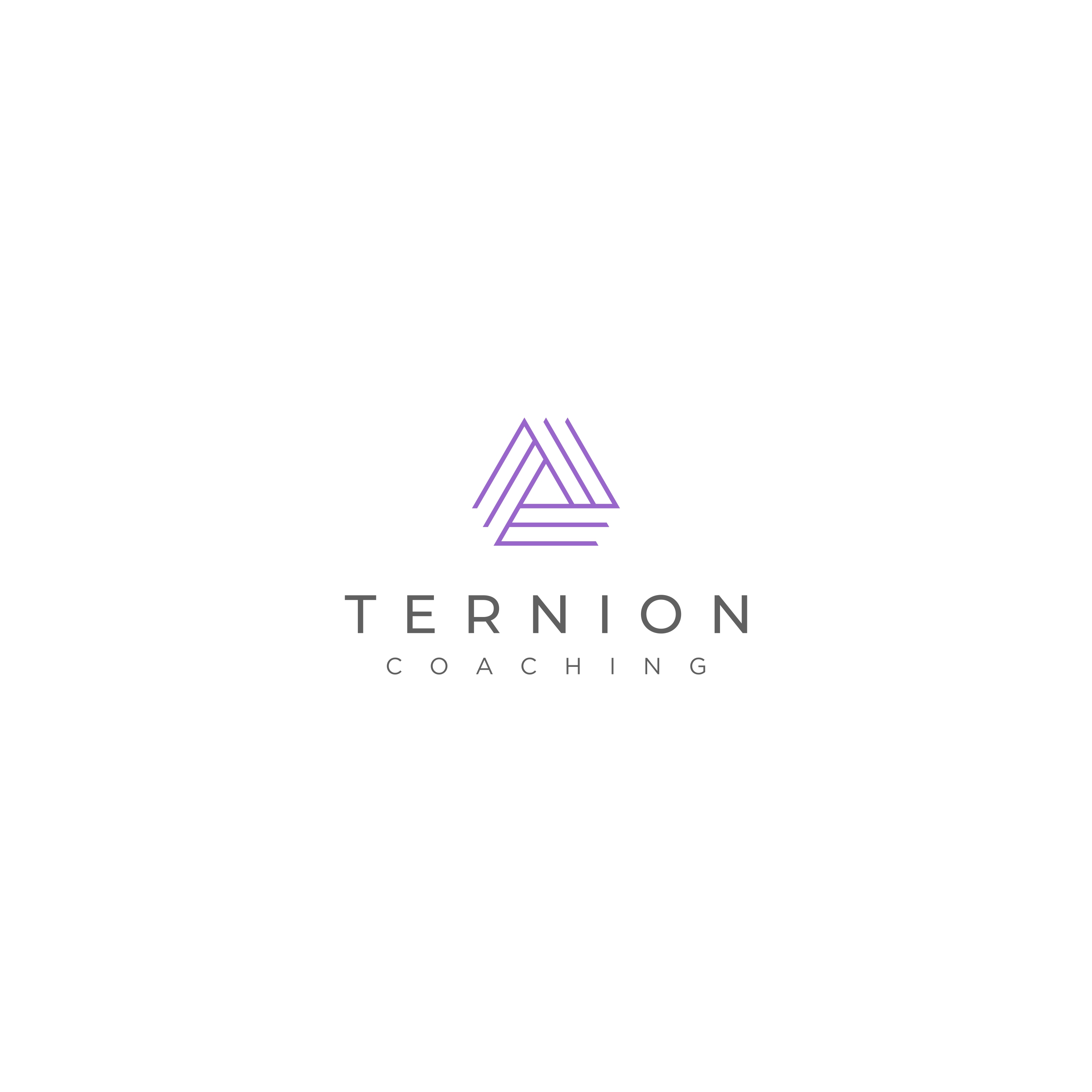 Logo Design for Either "Ternion" or "Ternion Coaching" by lest | Design ...