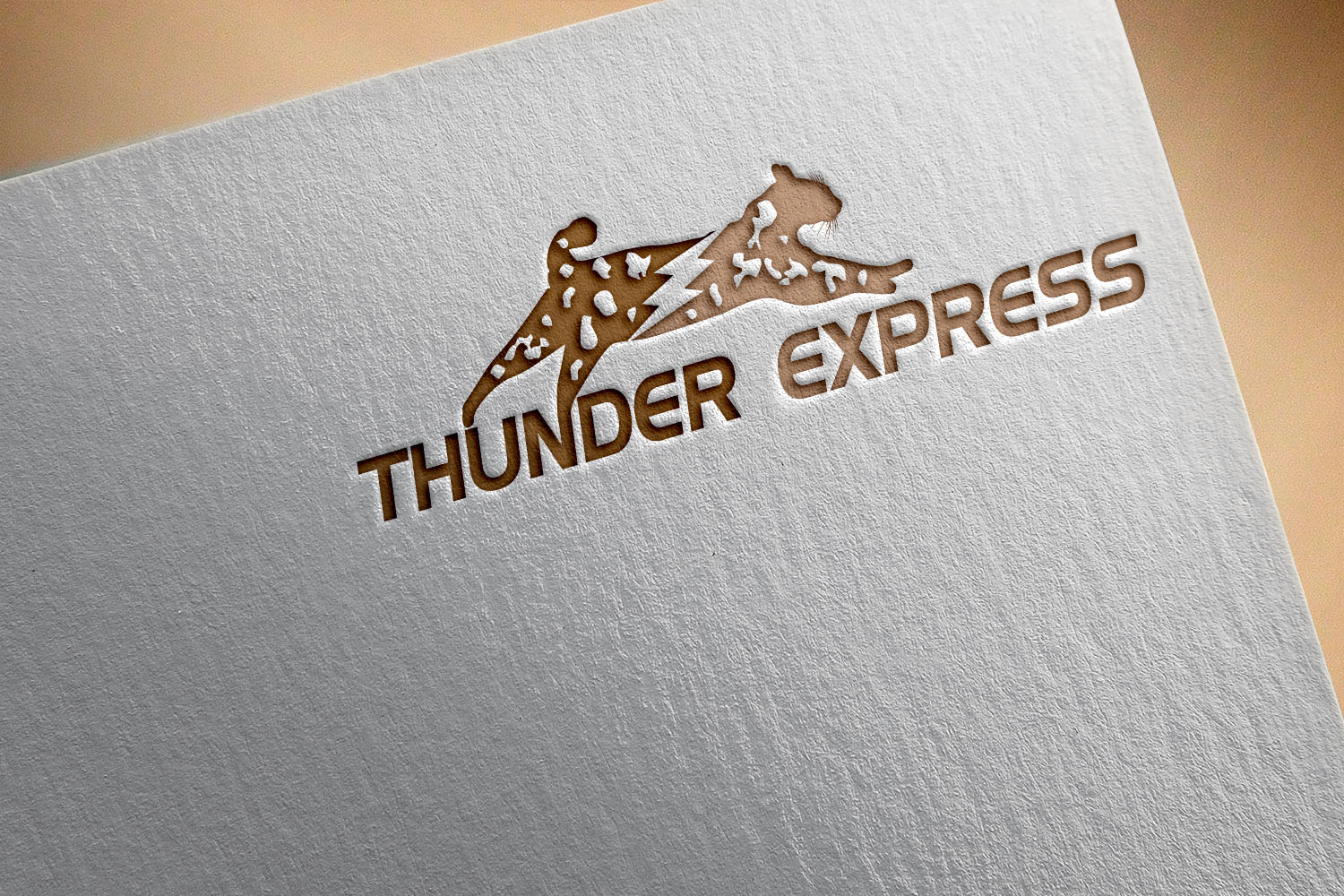 Modern, Playful, logistics services Logo Design for Thunder Express by ...