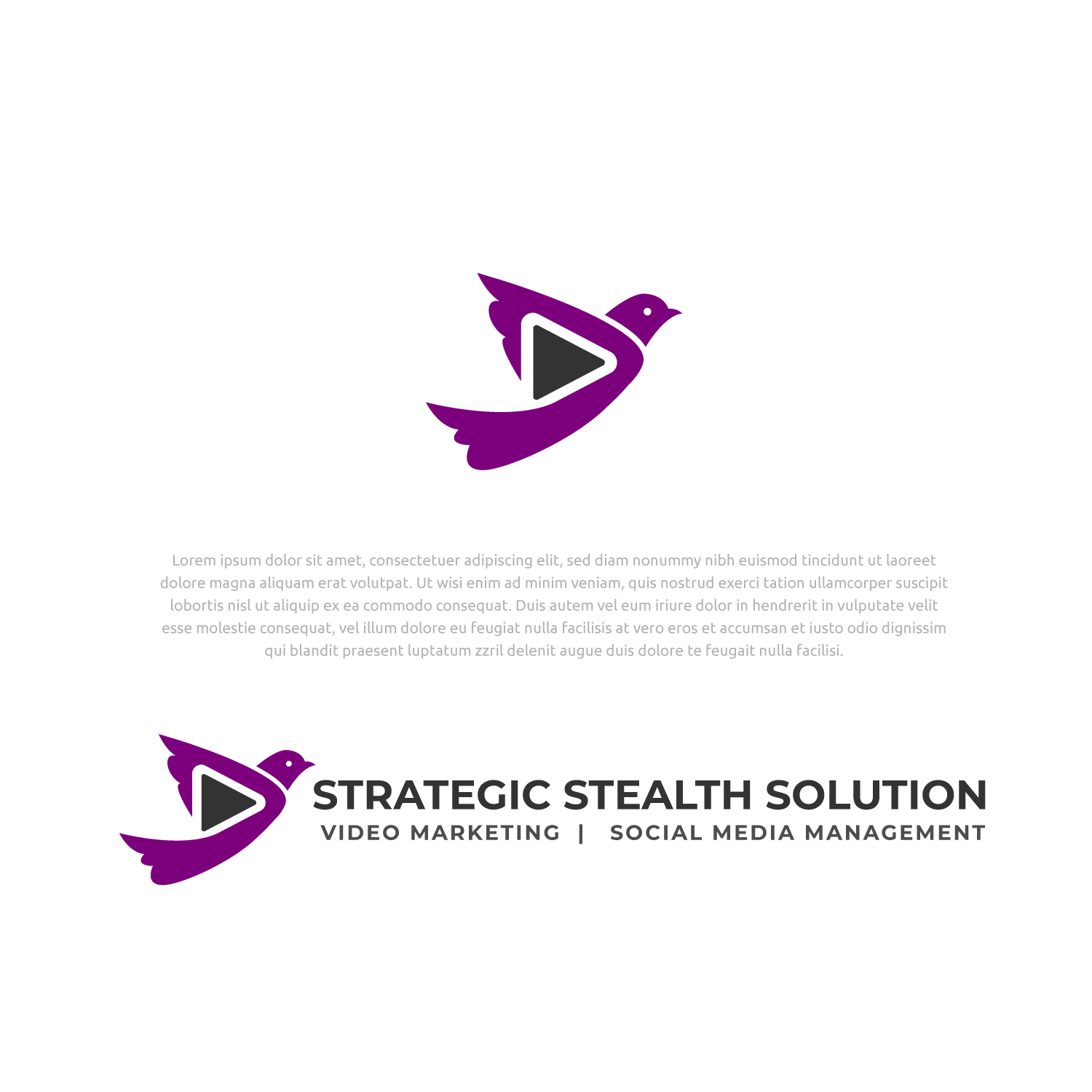 Elegant, Playful Logo Design for Strategic Stealth Solutions.com ...