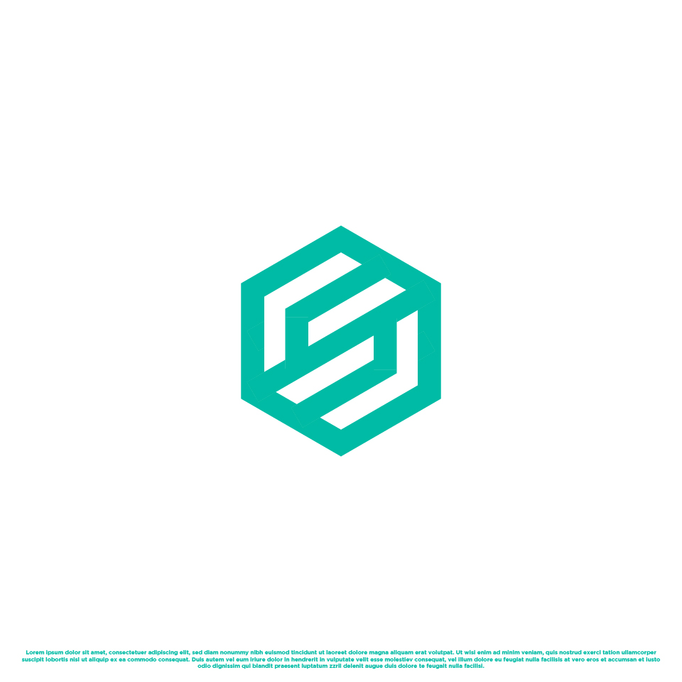 Elegant, Playful, IT Services and consultancy Logo Design for S by ...