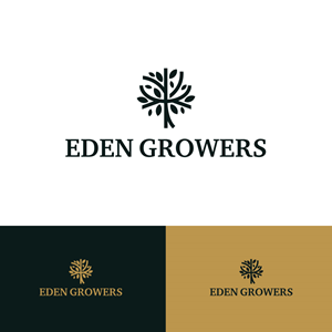 A Vertical Farming Biz of Organic Vegetables in Australia needs a ...