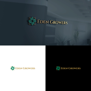 A Vertical Farming Biz of Organic Vegetables in Australia needs a ...