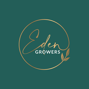 A Vertical Farming Biz of Organic Vegetables in Australia needs a ...