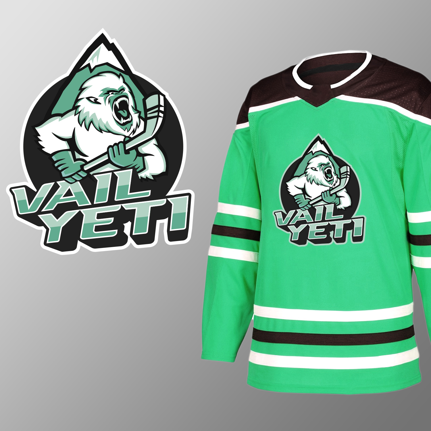 Professional, Masculine, Hockey, Sports, Ski Town Logo Design for Vail ...