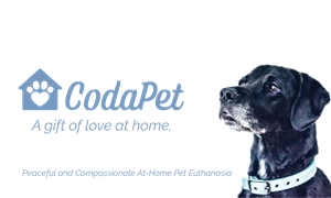 At Home Pet Euthanasia - business cards & brand stationary | 97 ...