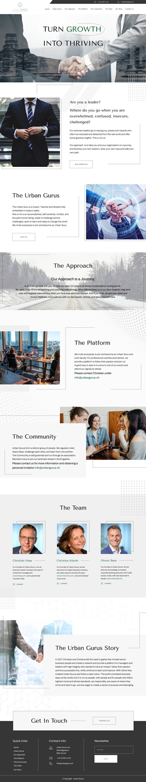 Modern Conservative Consulting Web Design For Urban Gurus By Pb Design 29284211