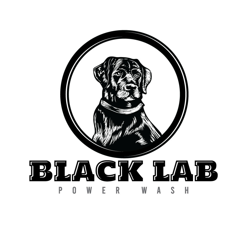 Logo Design for Black Lab Power Wash by Roland C | Design #29383845