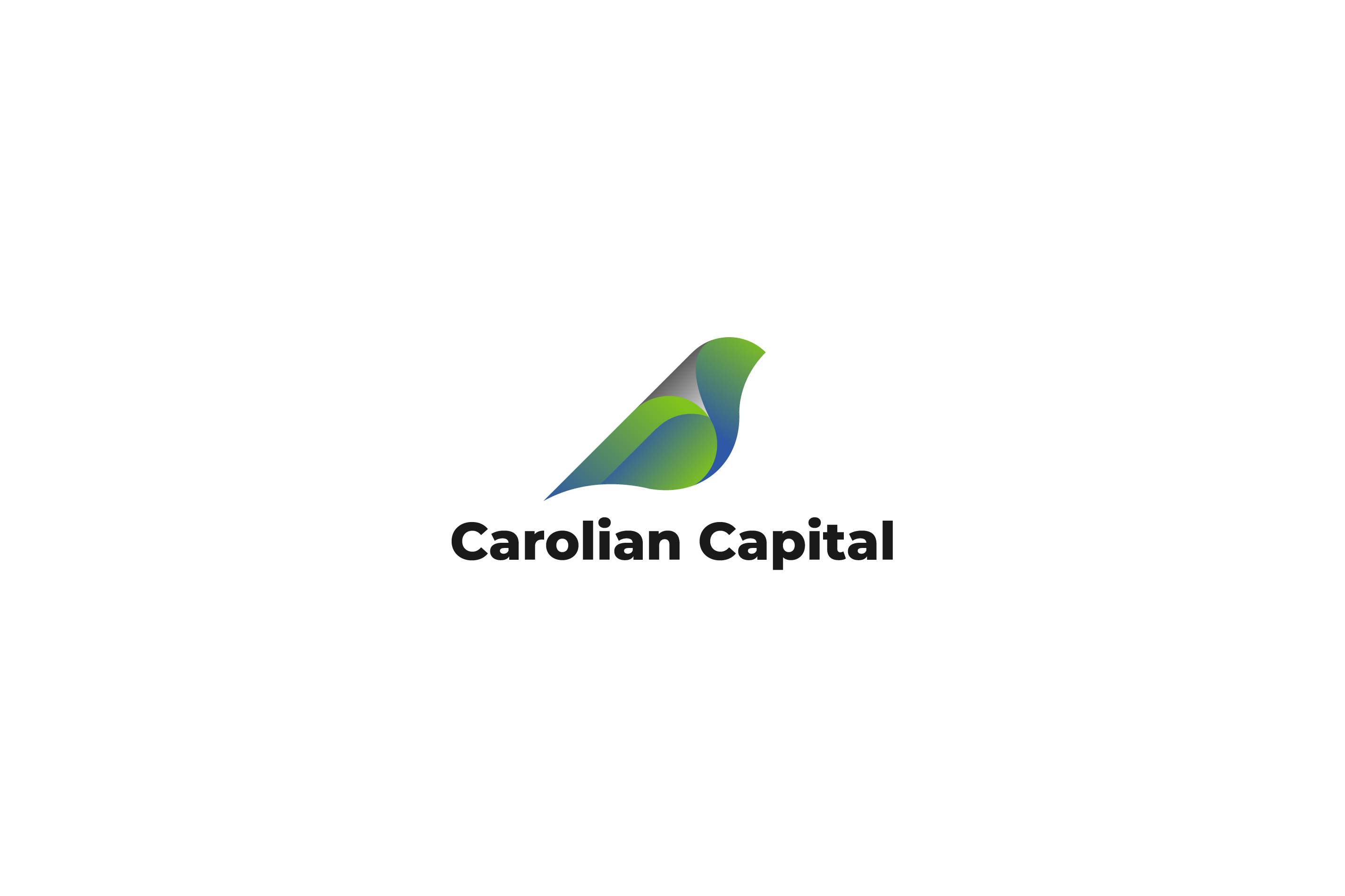 Logo Design for Carolian Capital or Carolian Capital LLC by alogo89 ...