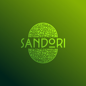 Sandori DJ logo design project | 80 Logo Designs for SANDORI