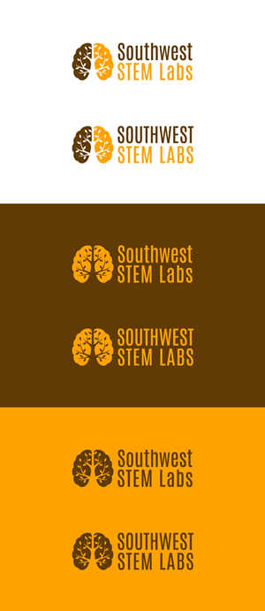 Logo for a educational non profit | 119 Logo Designs for Southwest STEM ...