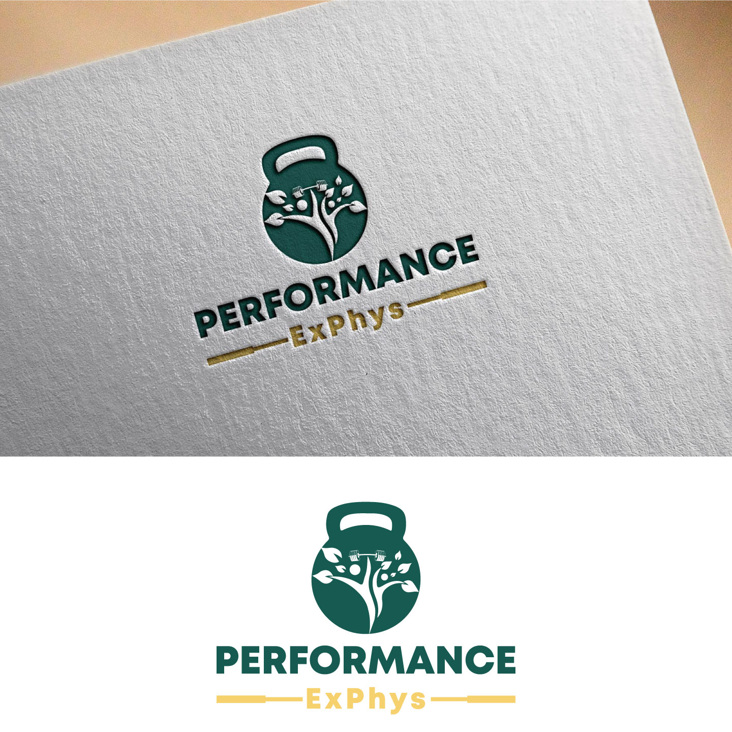 Modern, Serious, Physical Therapy / Exercise Physiologist ...