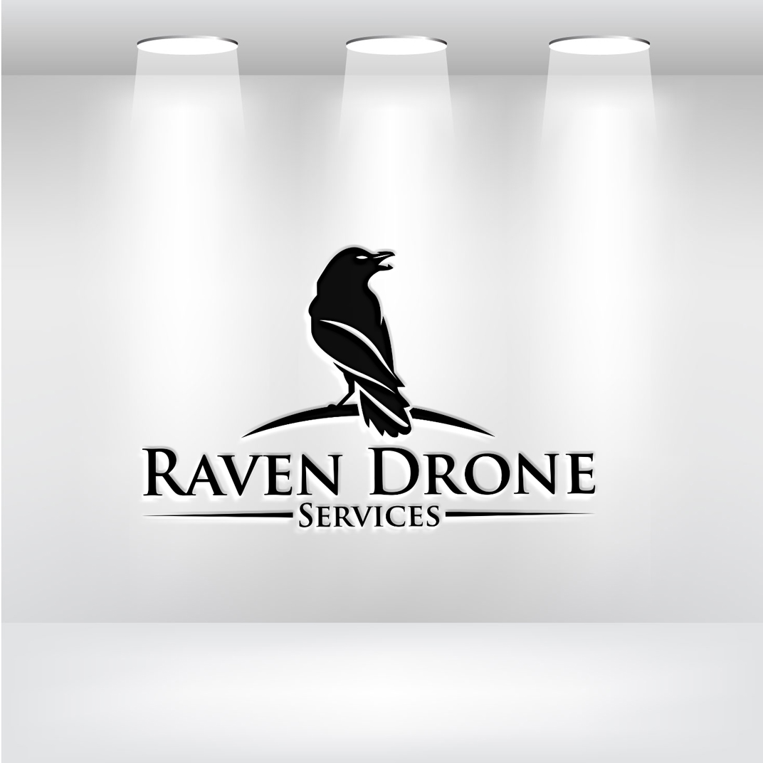 Elegant, Playful Logo Design for Raven Drone Services by creativee ...