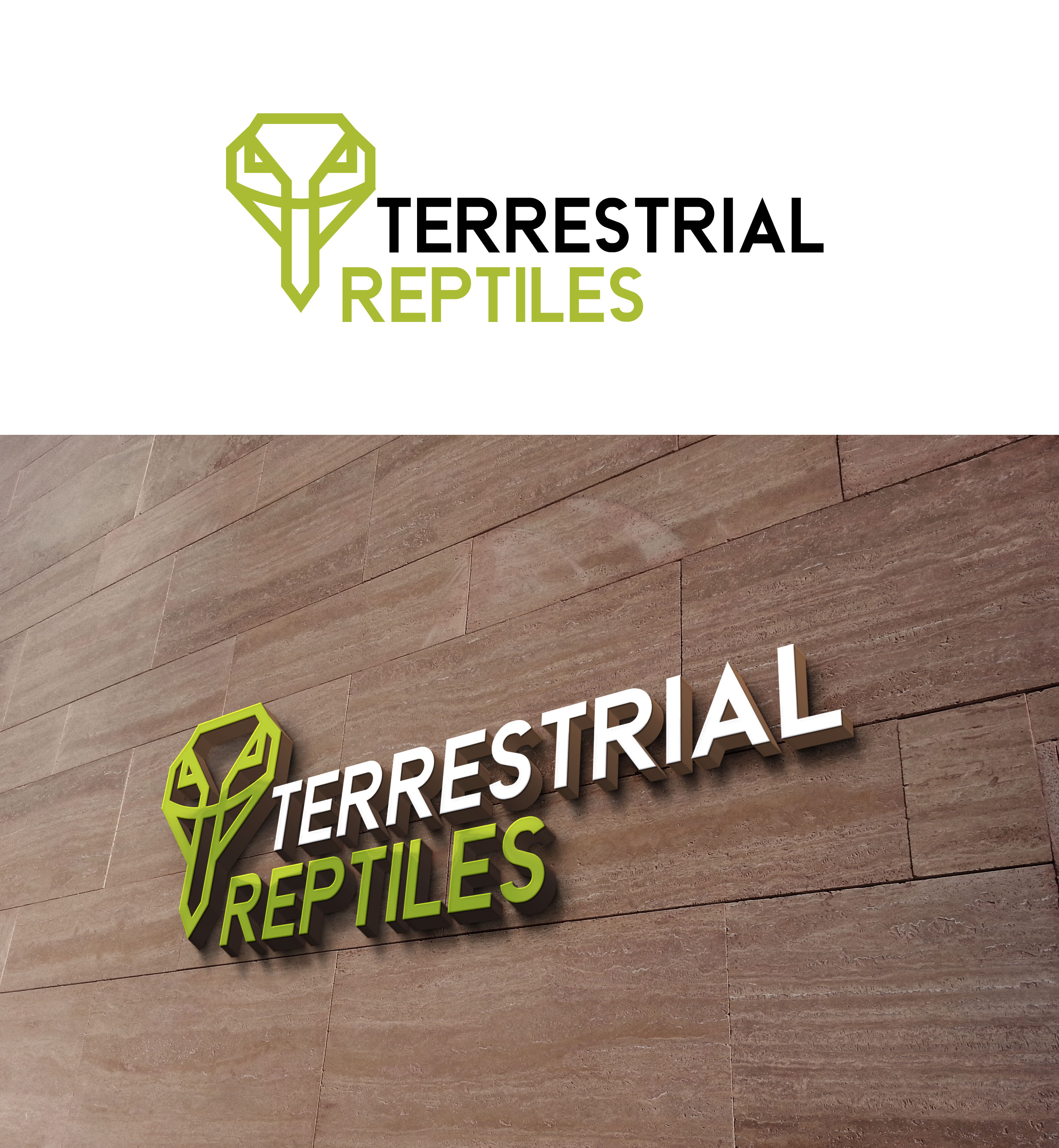 Logo Design for Terrestrial Reptiles by wdesigner2 | Design #29880540