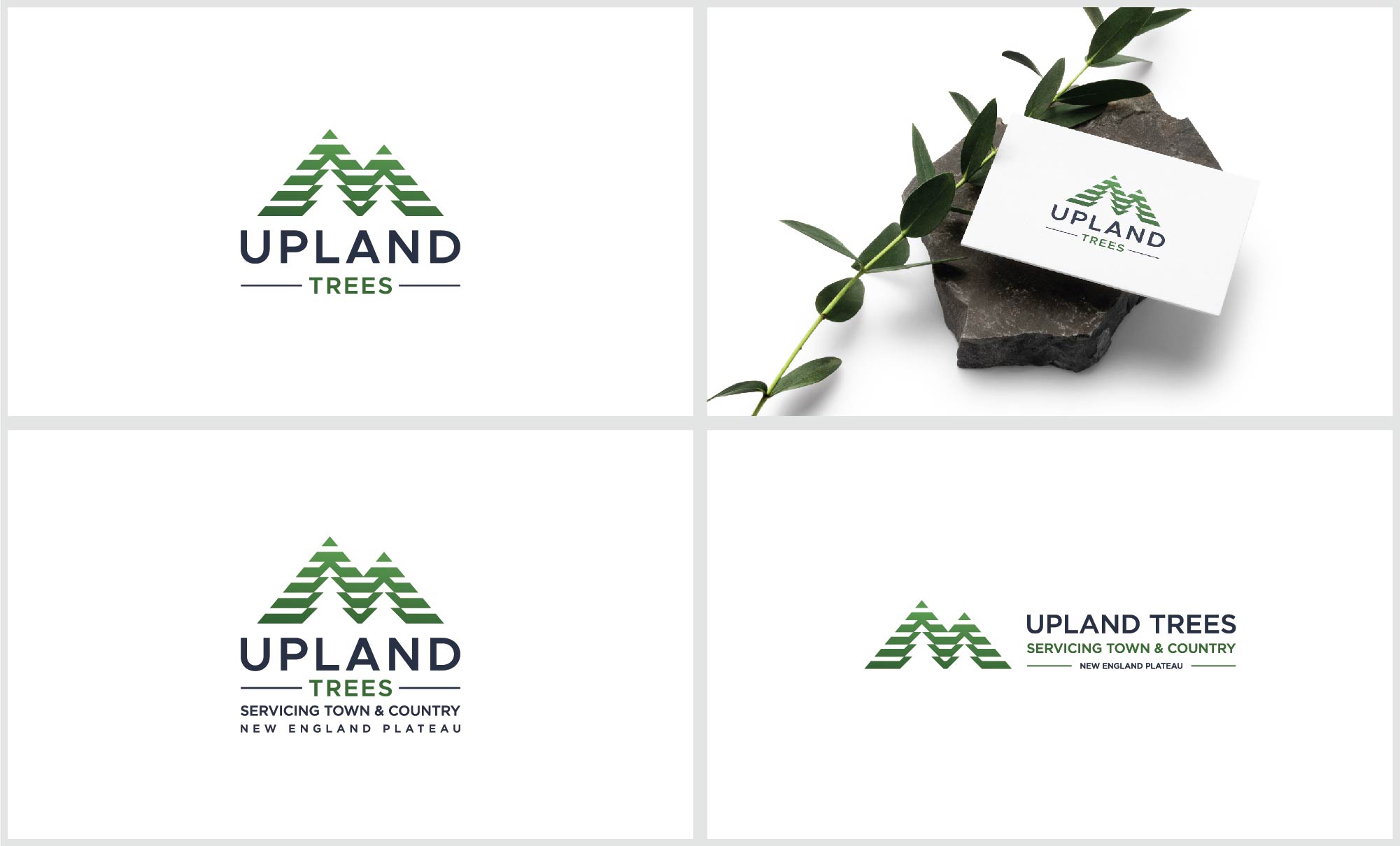 New regional Australian tree management business needs a Logo | 42 Logo ...