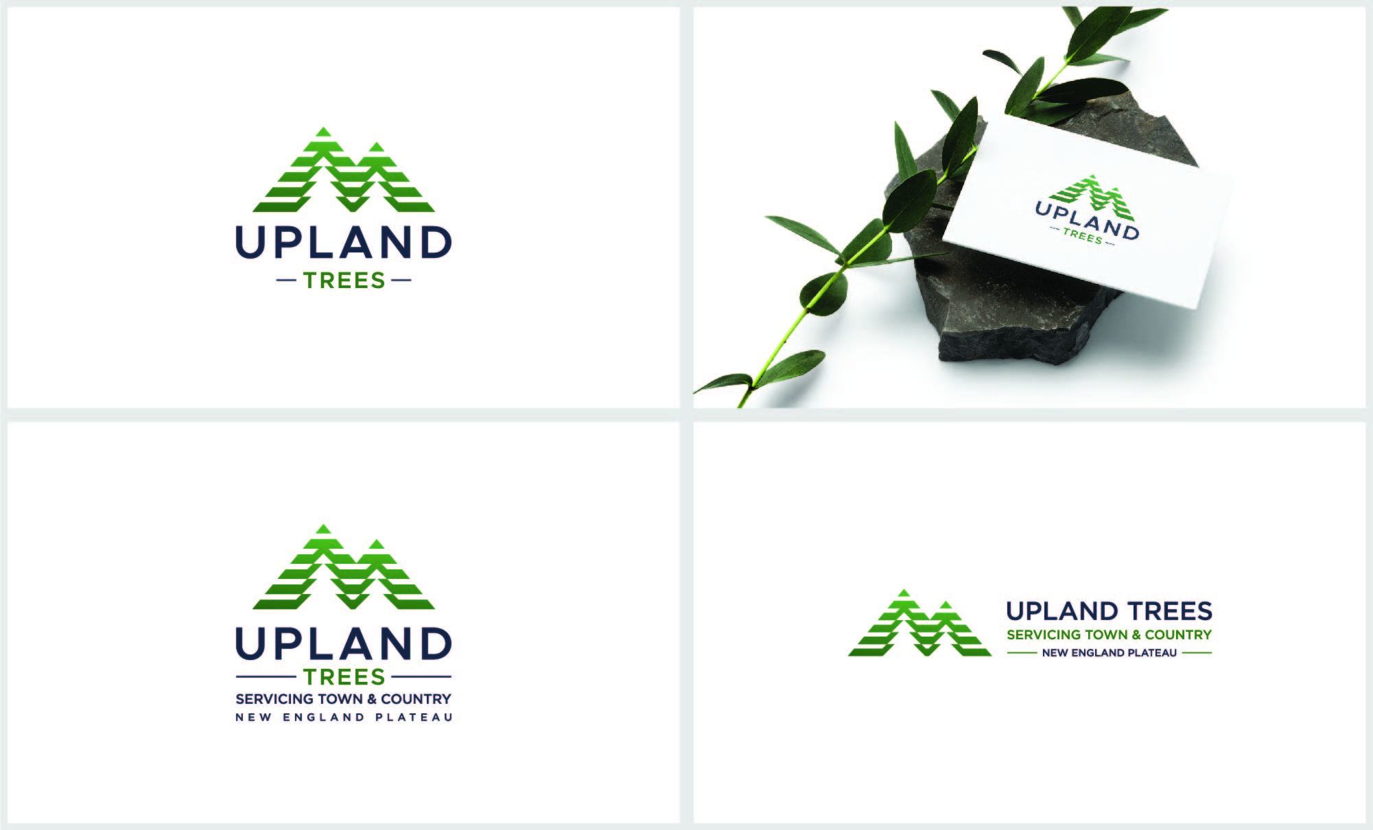 Masculine, Conservative, Arboriculture Logo Design for Upland Trees by ...