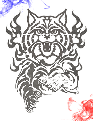 Secret Wildcat inspired shoulder tattoo. | 21 Tattoo Designs for a ...