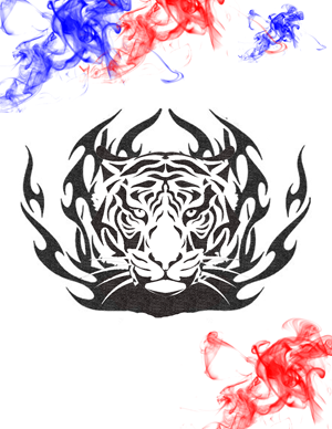 Secret Wildcat inspired shoulder tattoo. | 21 Tattoo Designs for a ...