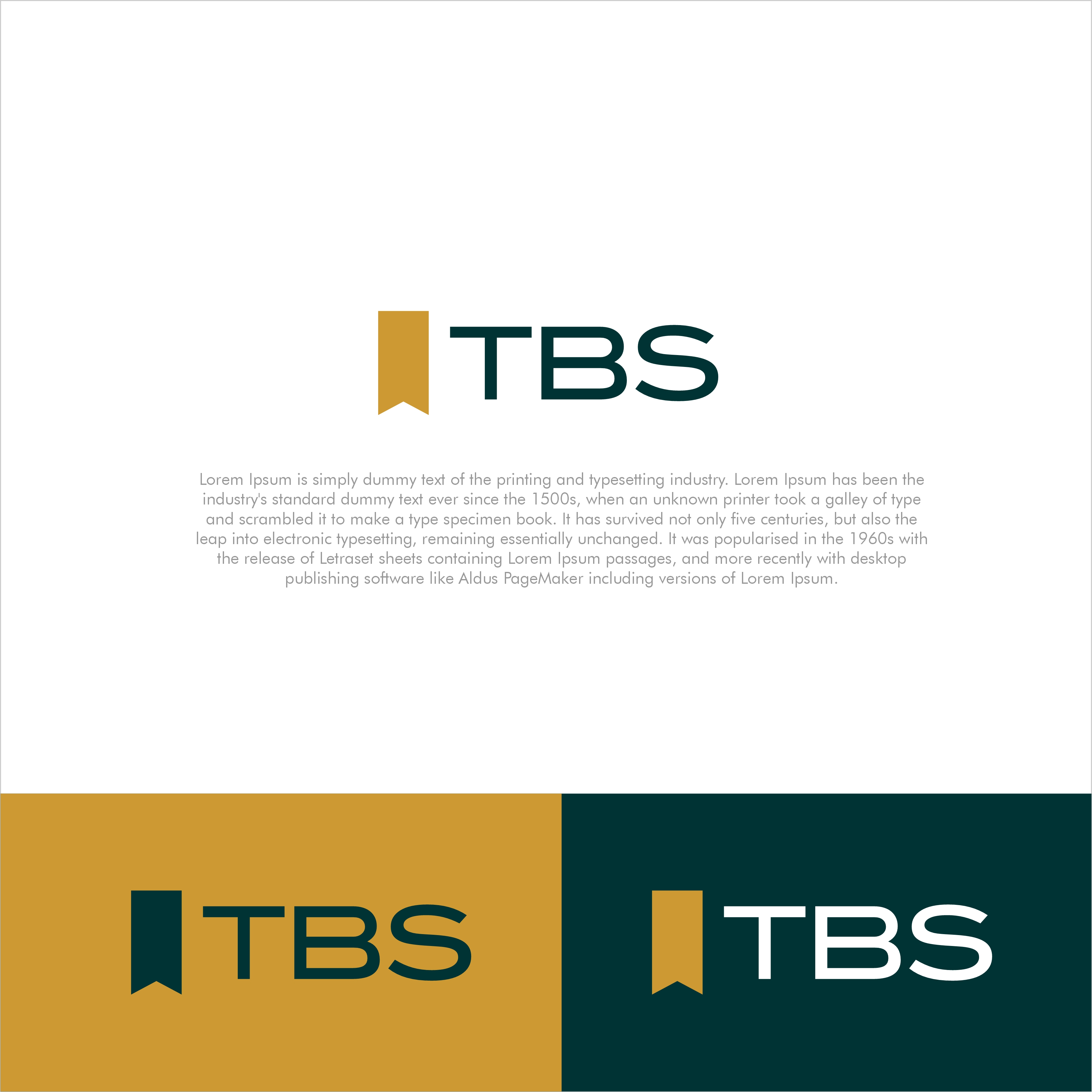 Playful, Modern, wholesaler Logo Design for TBS by Rajneesha | Design ...