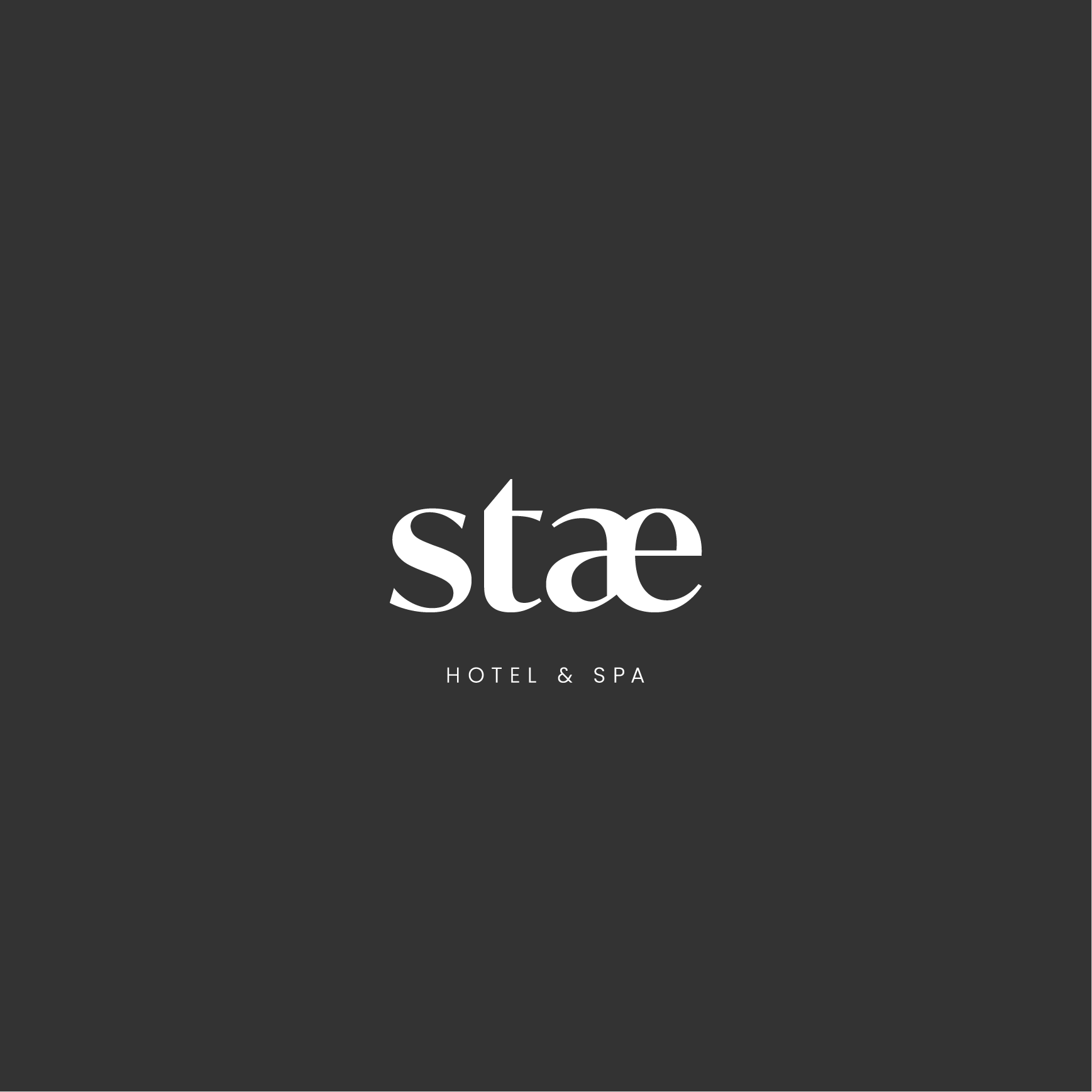 Elegant, Playful Logo Design for stae by NUB | Design #30413850