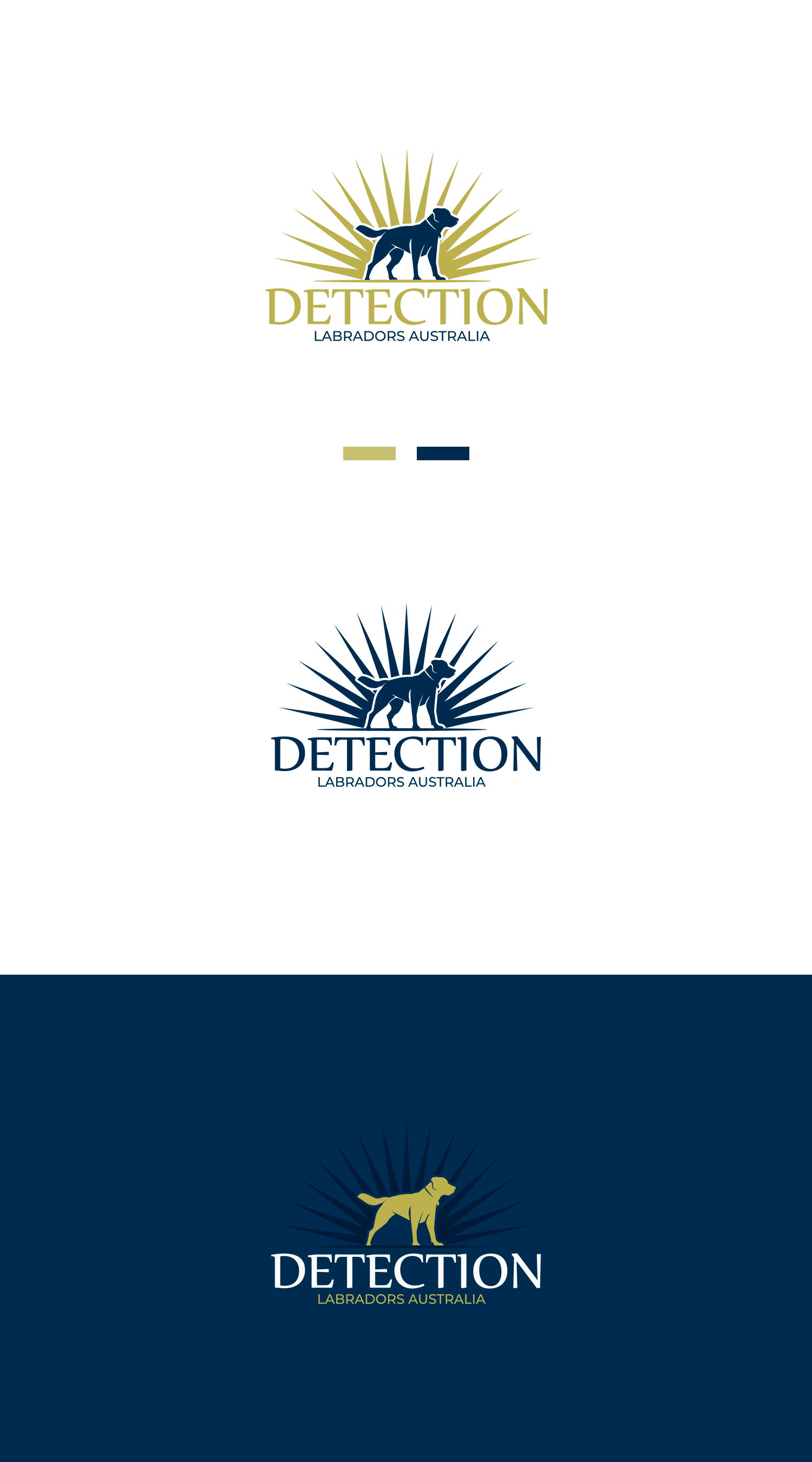 Logo Design for DETECTION LABRADORS AUSTRALIA by voltart | Design #30669820