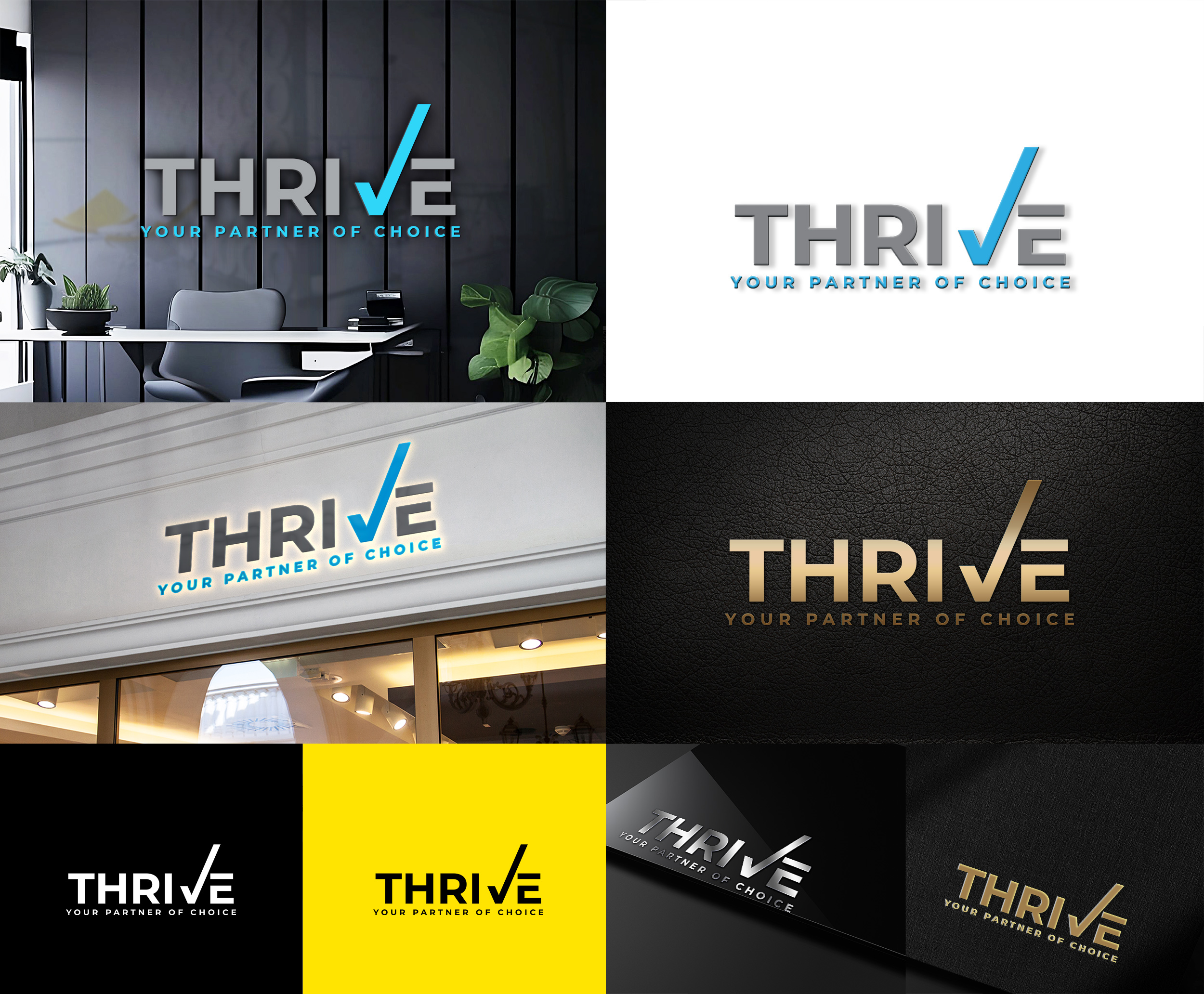 Professional, Conservative, Customer service/ Debt collection BPO ...