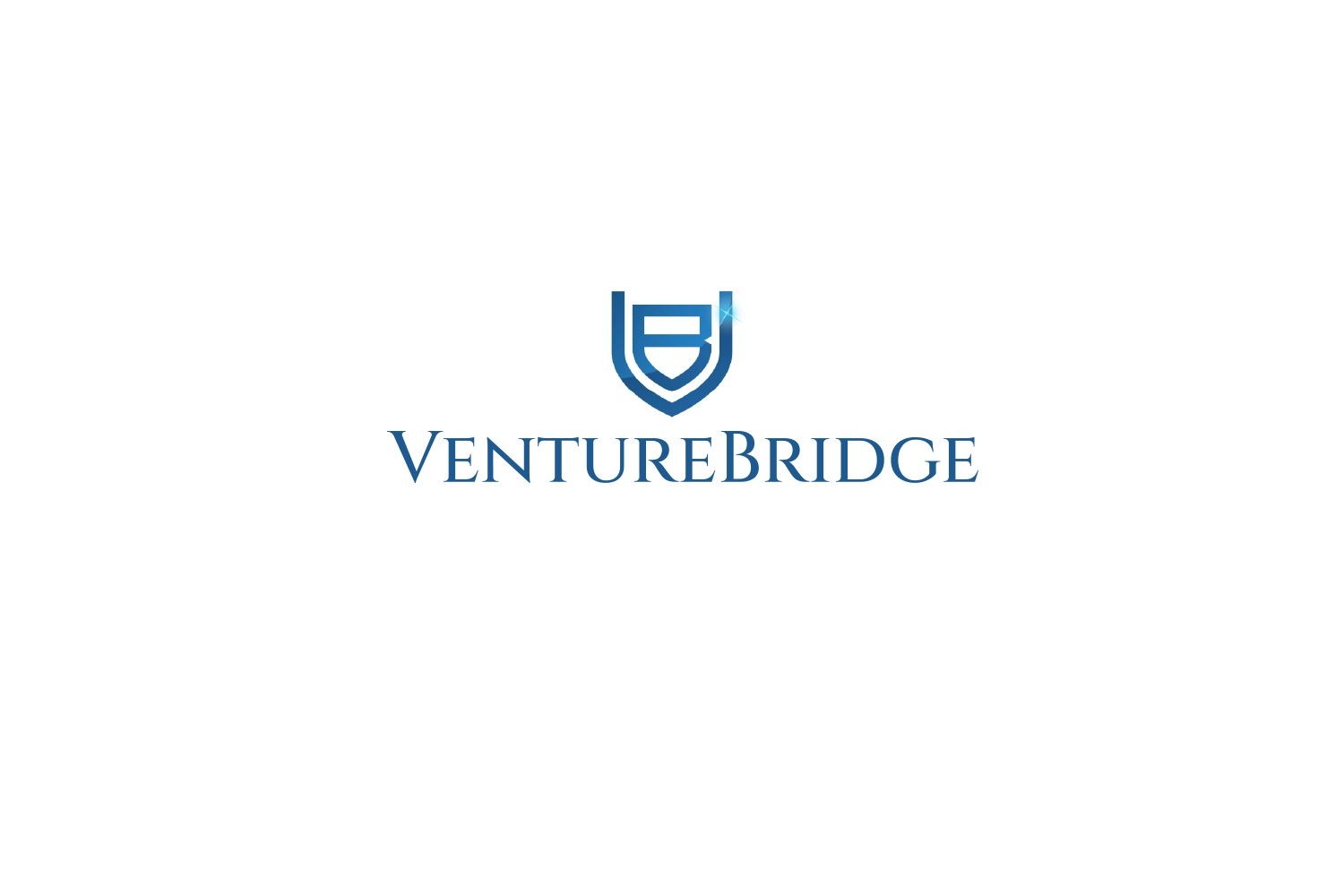 Logo Design for VentureBridge by Grace.Designs | Design #30874094