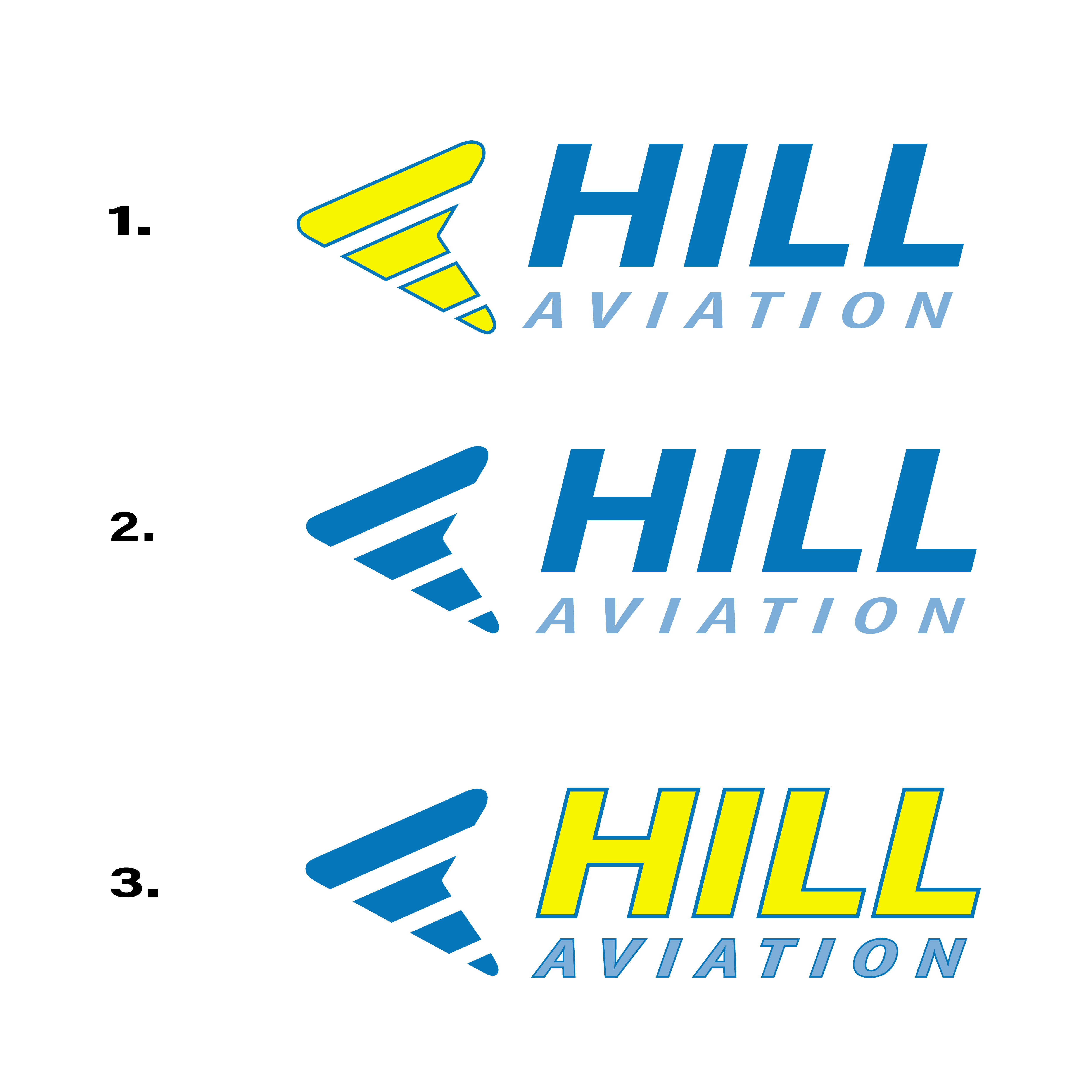 Elegant, Playful, Aircraft Charter Logo Design for Hill Private ...