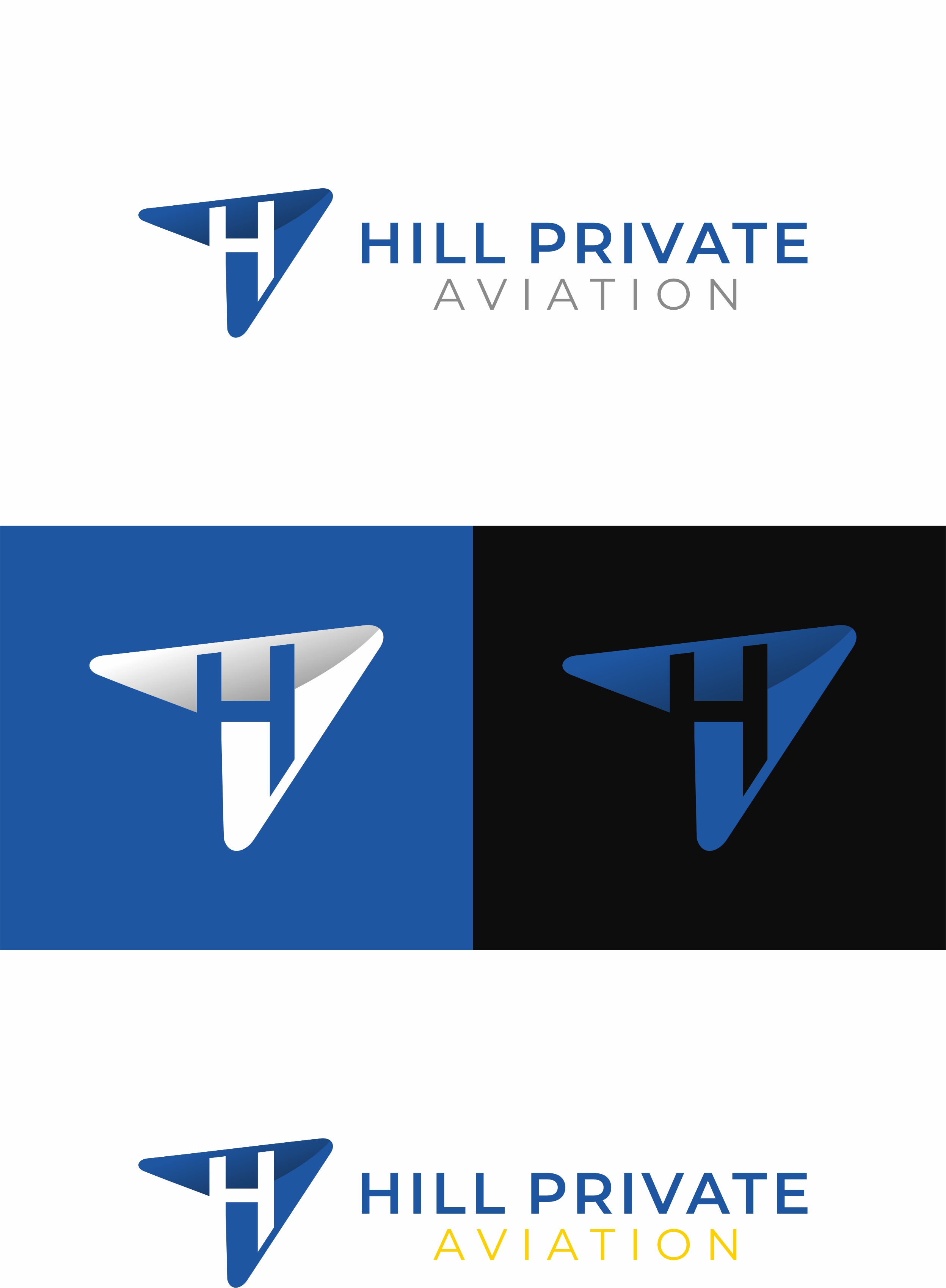 Elegant, Playful, Aircraft Charter Logo Design for Hill Private ...