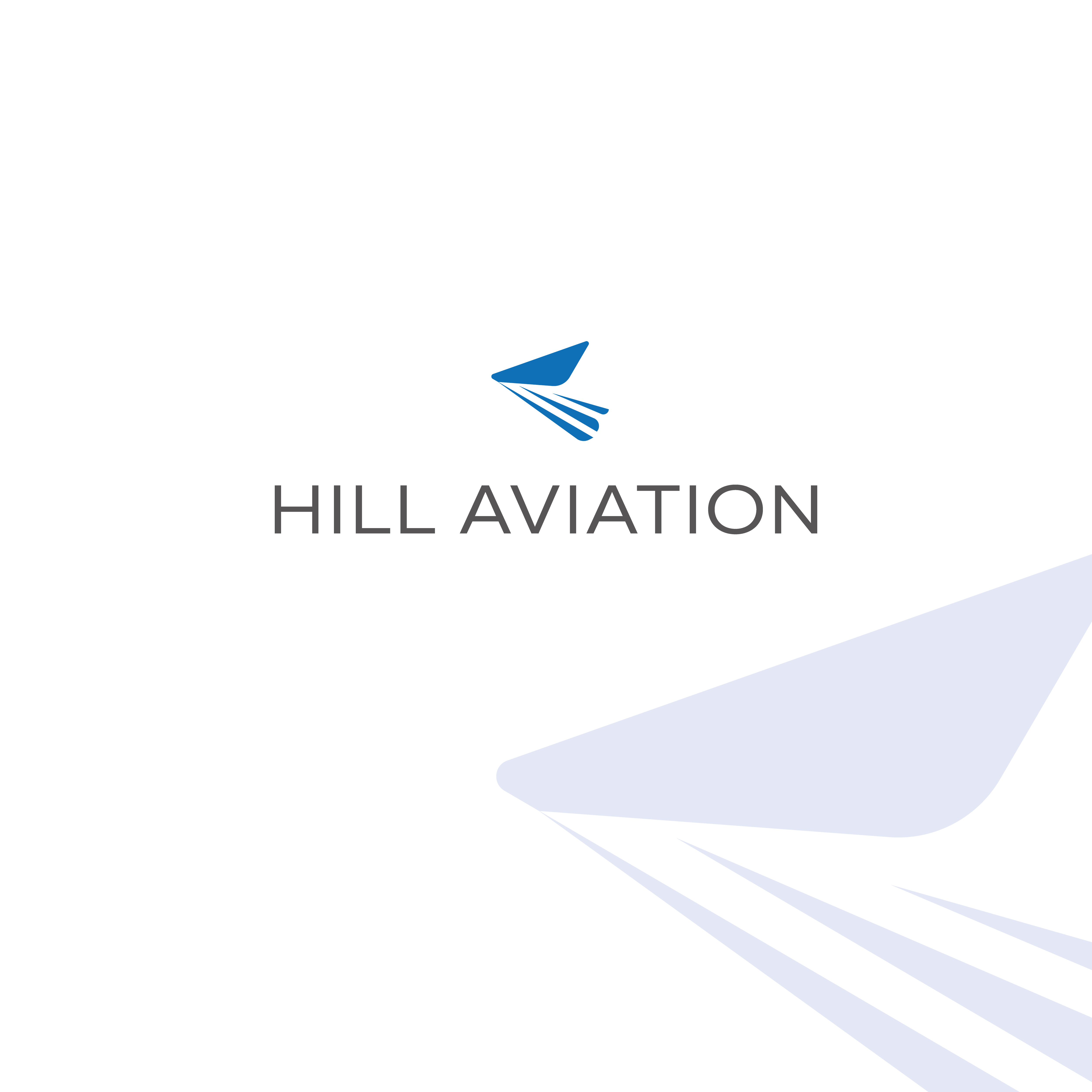 Elegant, Playful, Aircraft Charter Logo Design for Hill Private ...