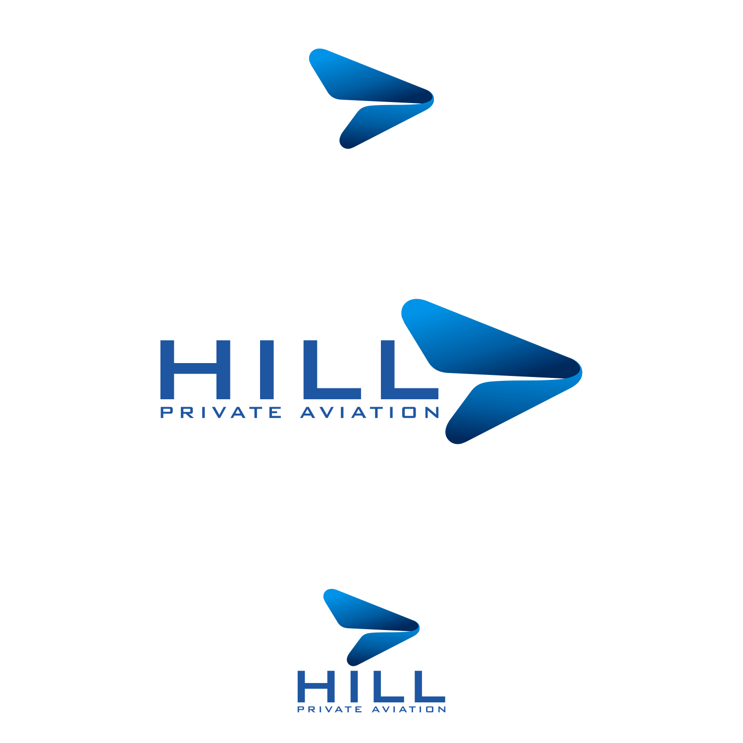 Elegant, Playful, Aircraft Charter Logo Design for Hill Private ...