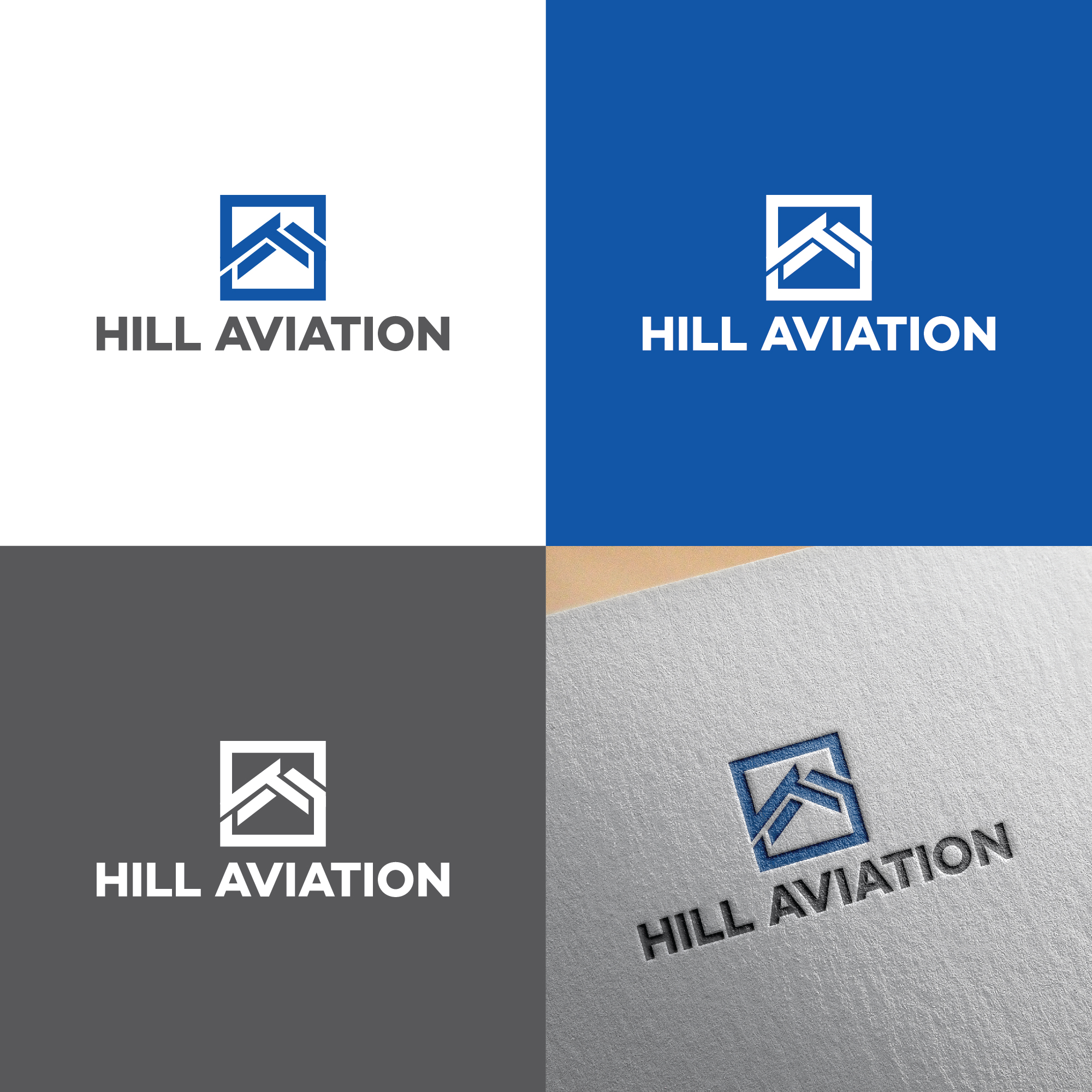Elegant, Playful, Aircraft Charter Logo Design for Hill Private ...