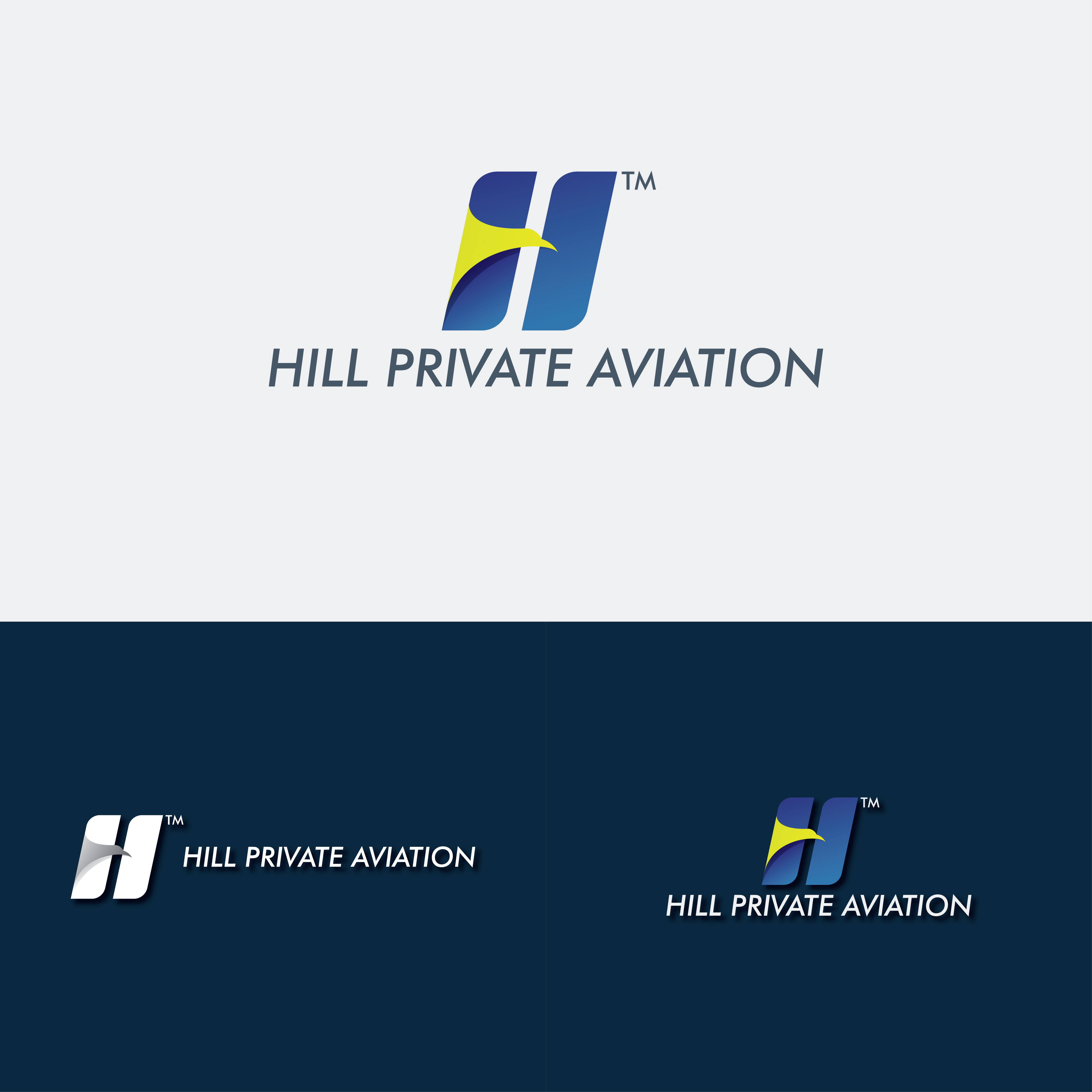 Elegant, Playful, Aircraft Charter Logo Design for Hill Private ...