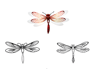 Red Dragonfly crisp/light/vibrating/translucent…no pressure, I know ...