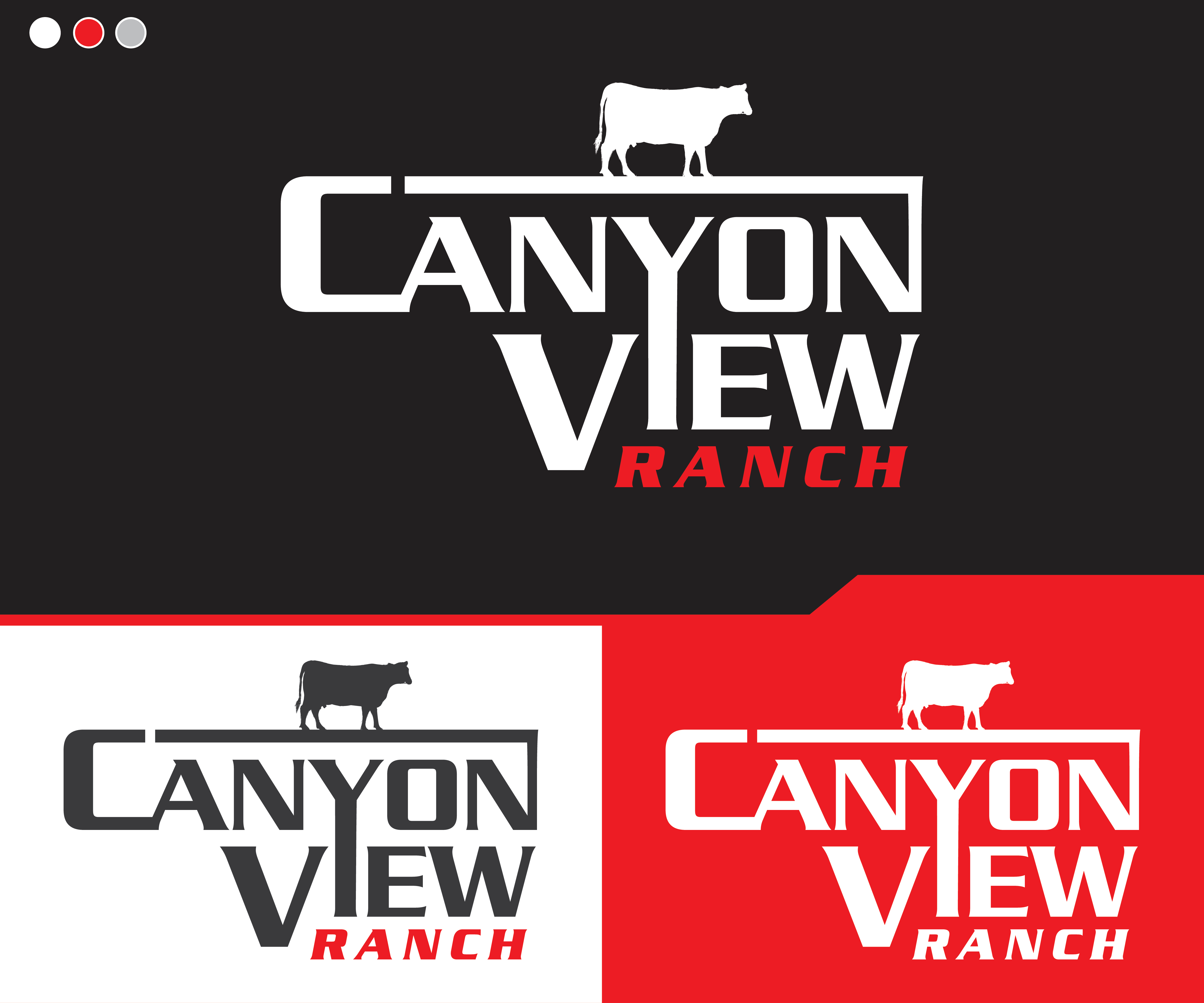 Elegant, Playful Logo Design for canyon view ranch or CVR or none by ...